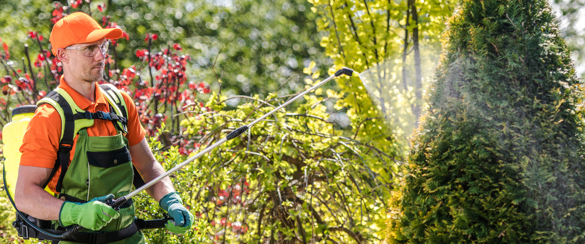 Pest Wholesale - Pest control products at wholesale prices